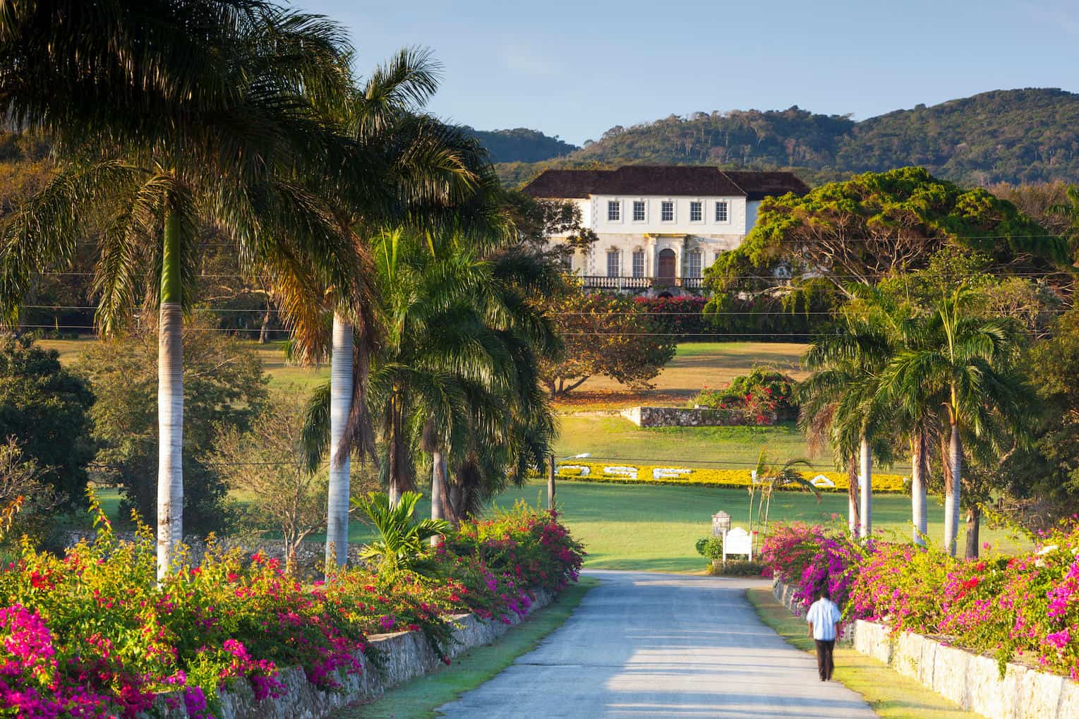 Out And About | The Pinnacle, Montego Bay